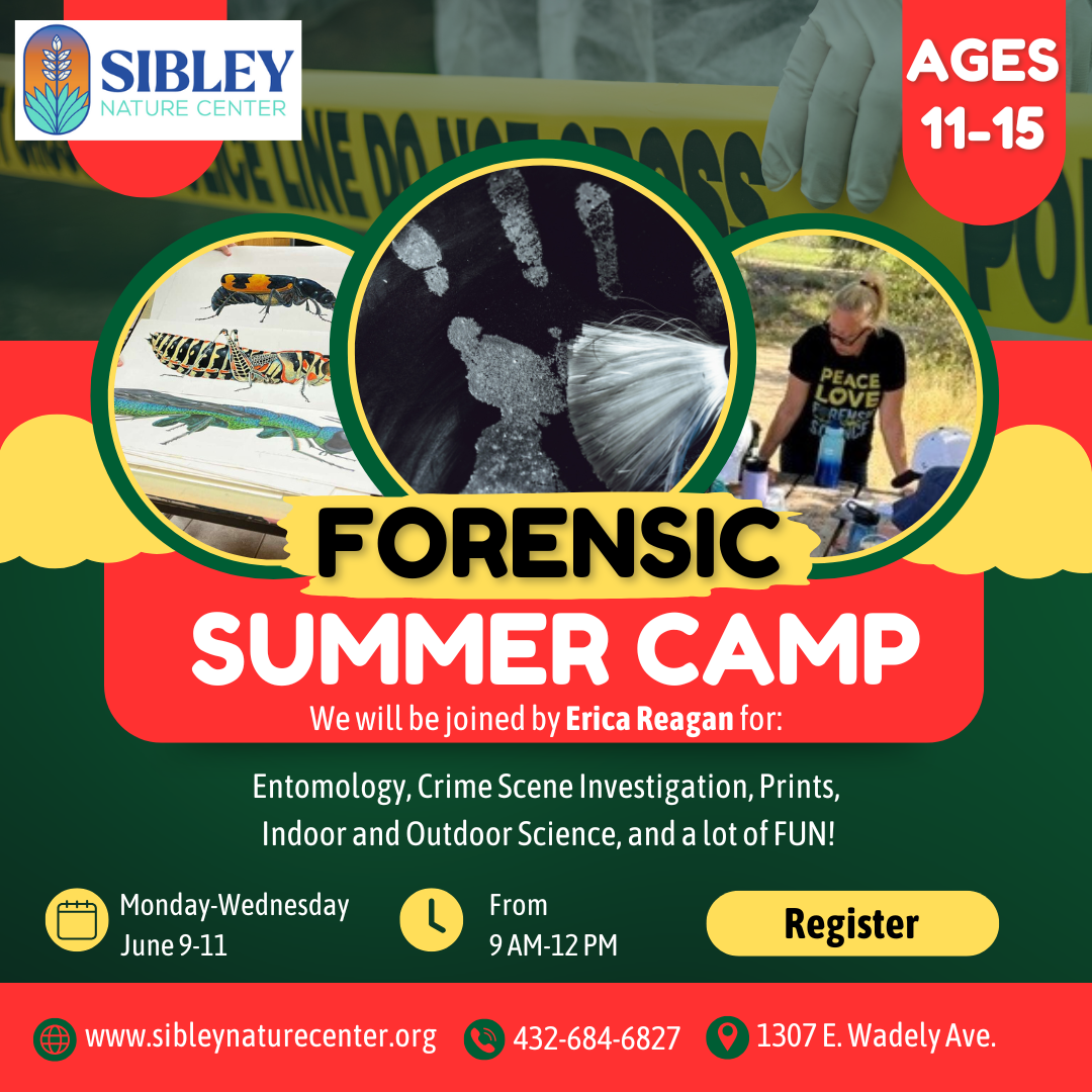 Forensic Science Summer Camp